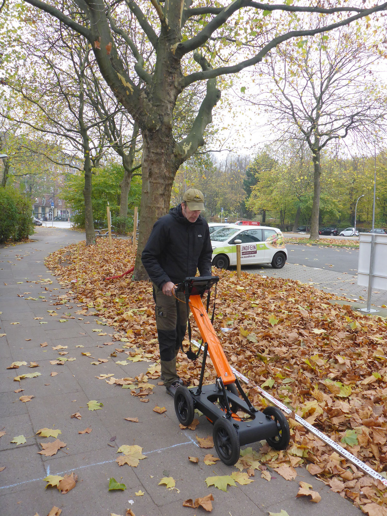 Georadar - arbor analyst