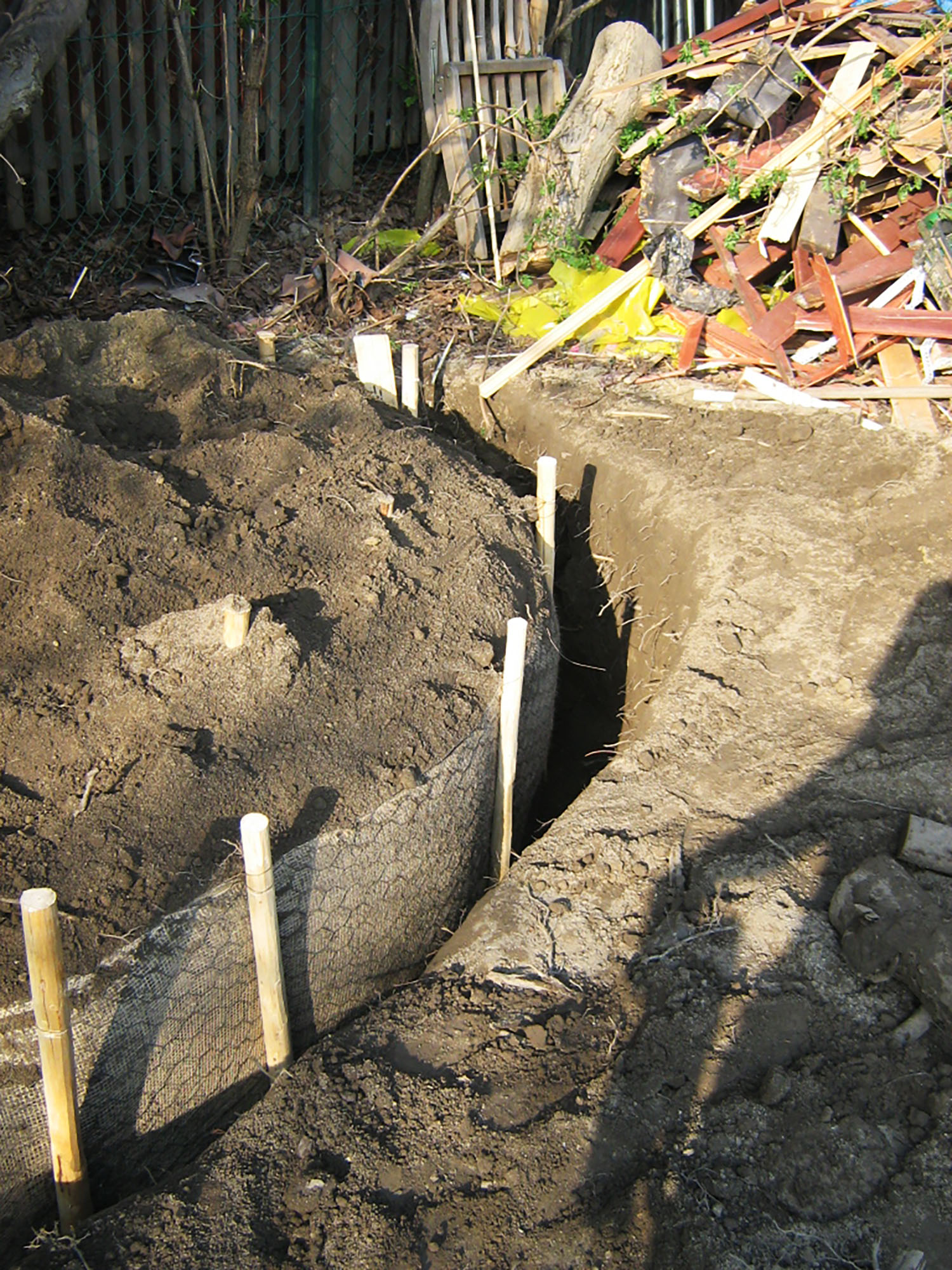 Baumschutzkonzepte - arbor analyst